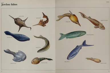 megazostrodon predators