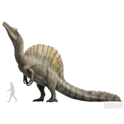 Spinosaurus | Dinopedia | Fandom
