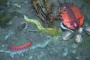 Cambrian | Dinopedia | Fandom
