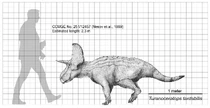 Turanoceratops | Dinopedia | Fandom