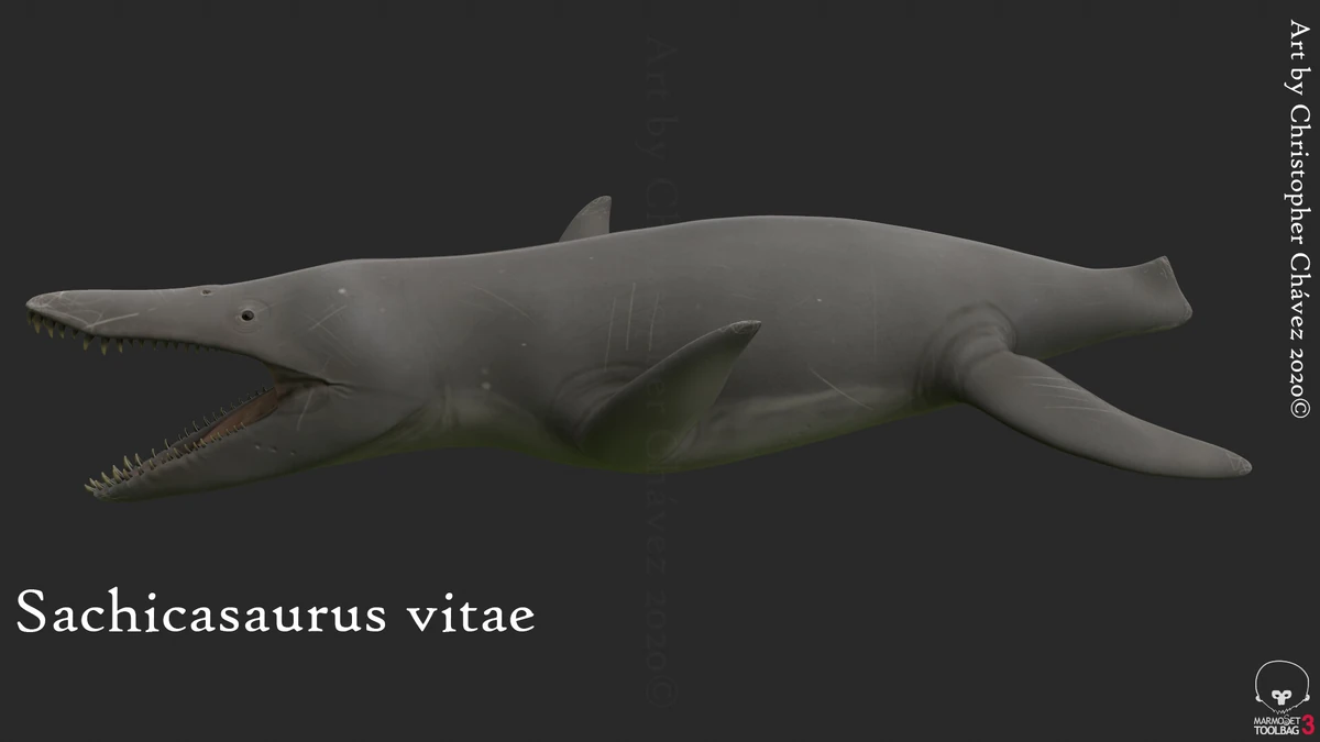 Sachicasaurus | Dinopedia | Fandom