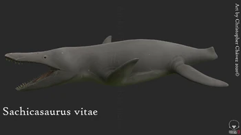 Sachicasaurus | Dinopedia | Fandom