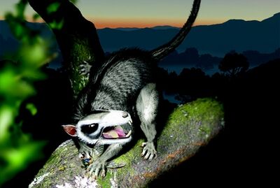 Cimolodon | Dinopedia | Fandom