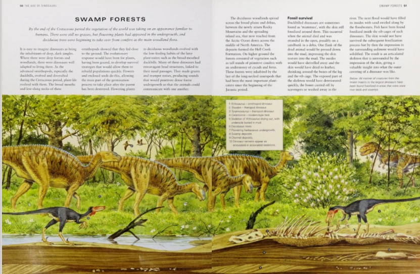 Ceramornis | Dinopedia | Fandom