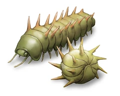 Amynilyspes | Dinopedia | Fandom