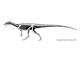 Panphagia | Dinopedia | Fandom