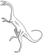 Elmisaurus | Dinopedia | Fandom