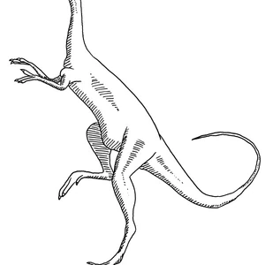 Discuss Everything About Dinopedia | Fandom