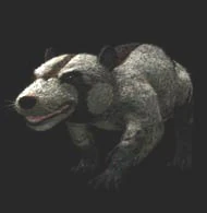 Didelphodon | Dinopedia | Fandom