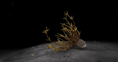 Yuknessia | Dinopedia | Fandom