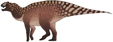 Coahuilasaurus | Dinopedia | Fandom