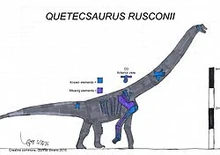 Quetecsaurus | Dinopedia | Fandom