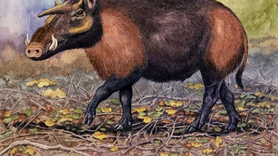 Discuss Everything About Dinopedia | Fandom