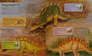 Huayangosaurus | Dinopedia | Fandom