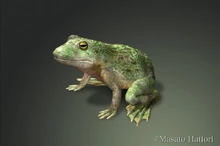 Vieraella | Dinopedia | Fandom