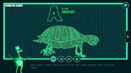Adocus | Dinopedia | Fandom
