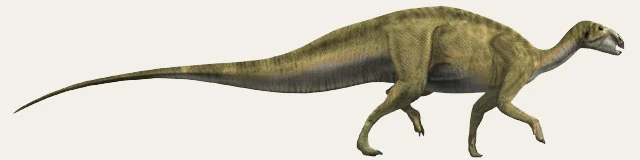 Rhabdodon | Dinopedia | Fandom