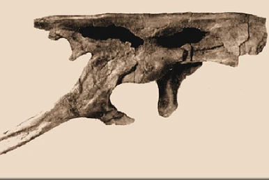 glacialisaurus skeletal