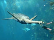 Kaiwhekea | Dinopedia | Fandom