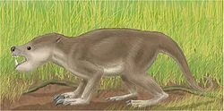 Psittacotherium | Dinopedia | Fandom