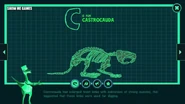 Castorocauda | Dinopedia | Fandom