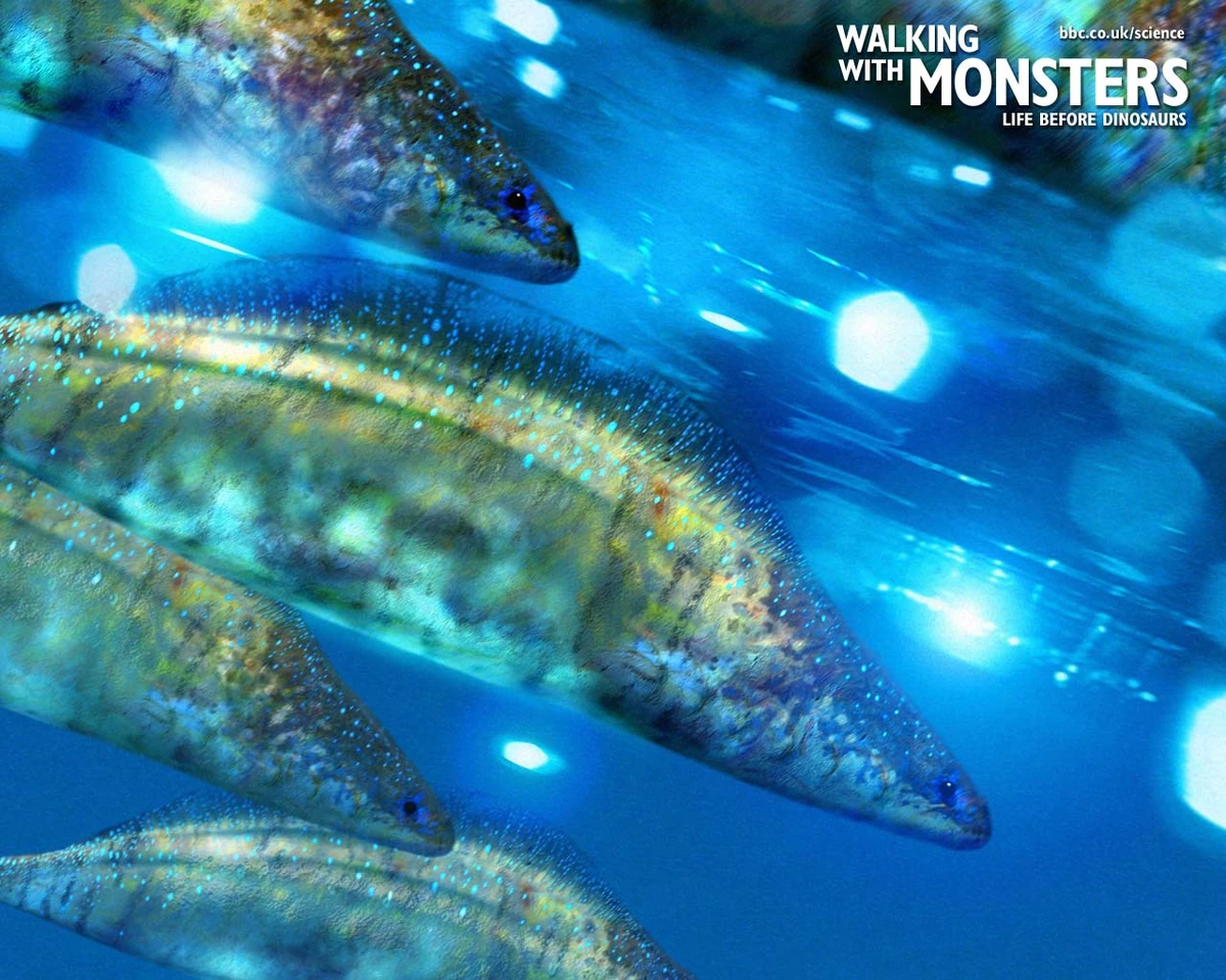 Haikouichthys | Dinopedia | Fandom