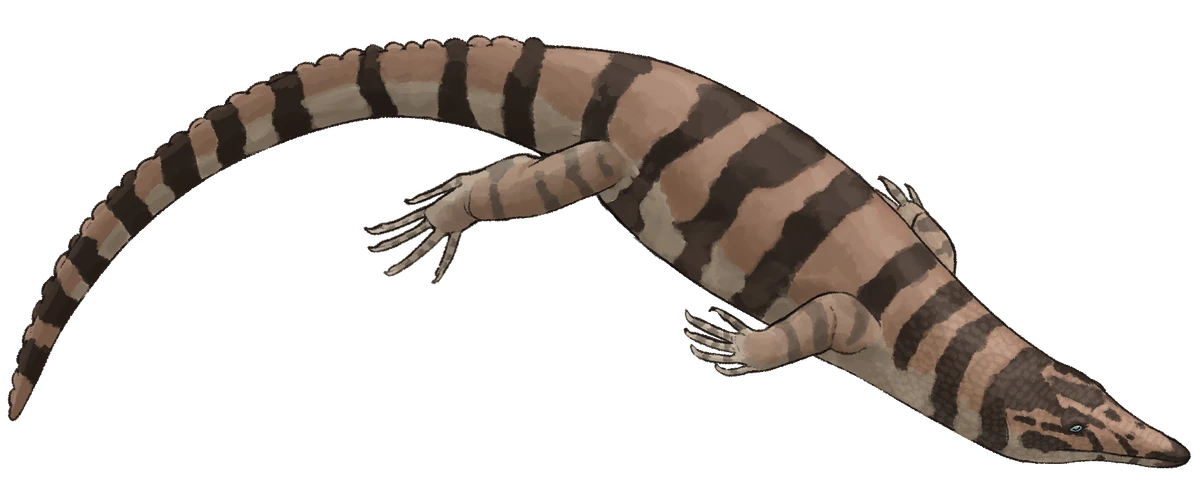 Aquitanian | Dinopedia | Fandom