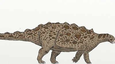 Discuss Everything About Dinopedia | Fandom