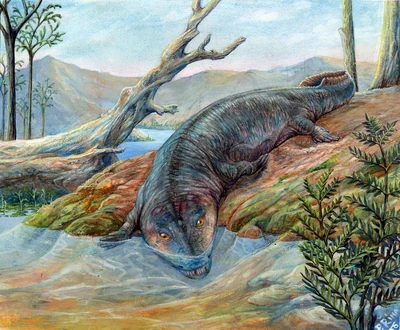 Labyrinthodontia | Dinopedia | Fandom