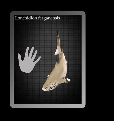 Lonchidion | Dinopedia | Fandom
