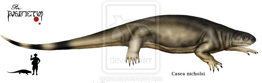 Caseidae | Dinopedia | Fandom