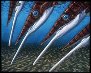 Ornithoprion | Dinopedia | Fandom