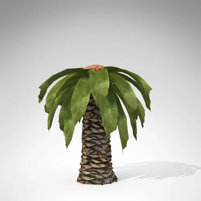 Bjuvia | Dinopedia | Fandom