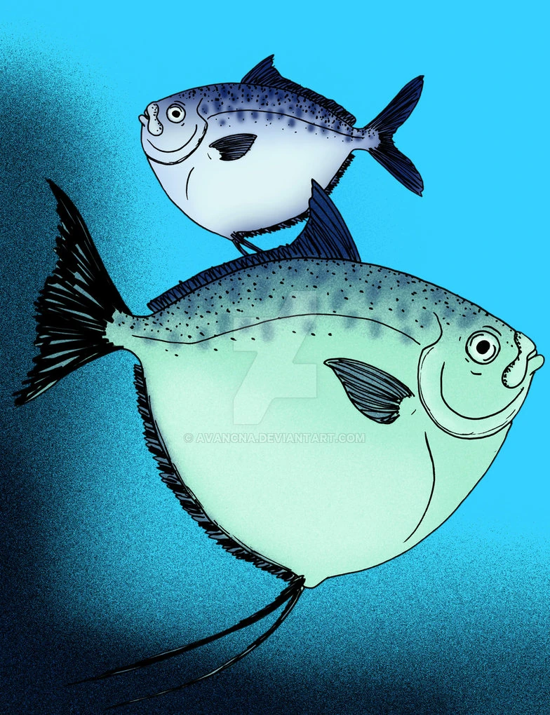 Mene purdyi | Dinopedia | Fandom