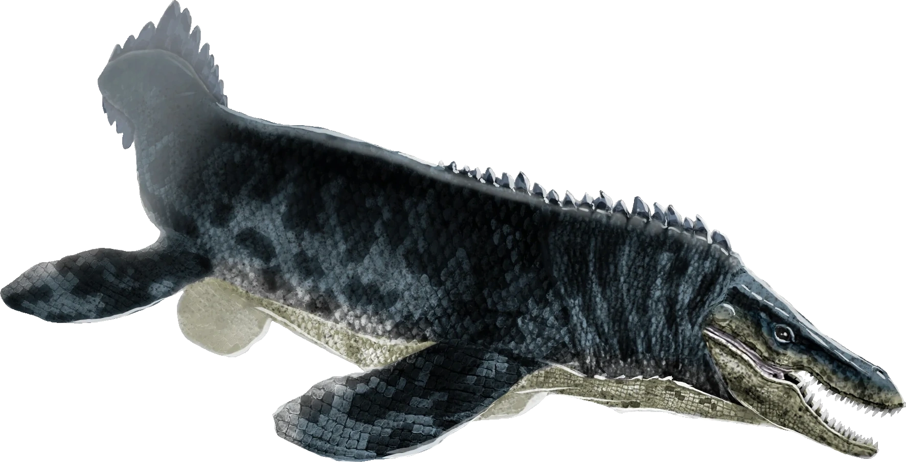 Tylosaurus | Dinopedia | Fandom