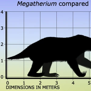 giant sloth comparison