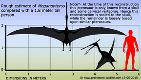 Moganopterus | Dinopedia | Fandom