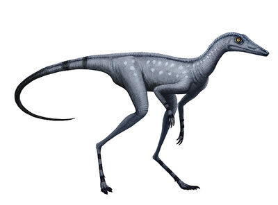 Lagerpeton | Dinopedia | Fandom