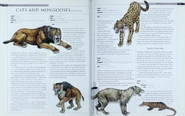 Homotherium | Dinopedia | Fandom