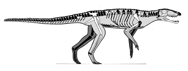 Trialestes | Dinopedia | Fandom