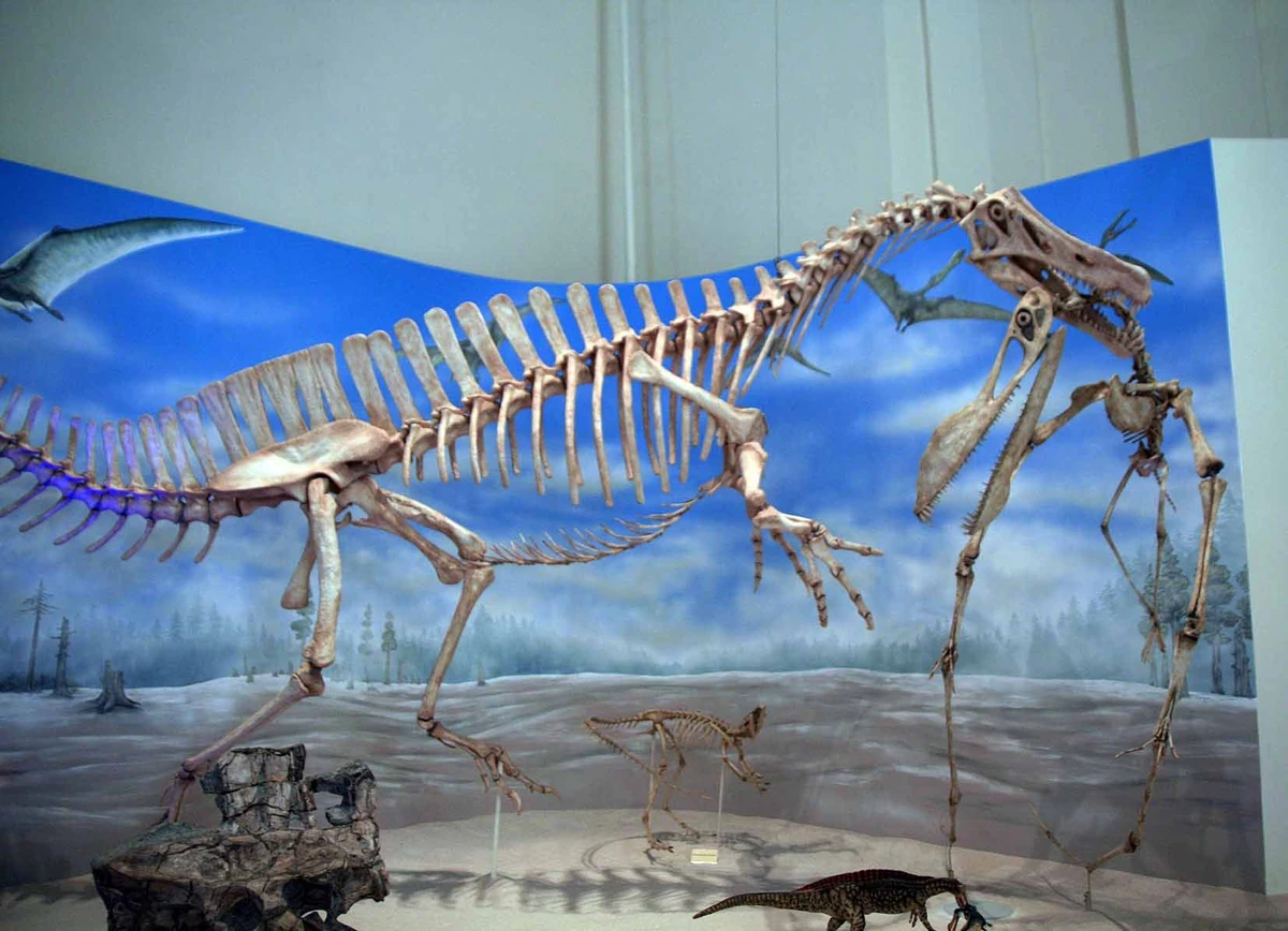 Irritator | Dinopedia | Fandom