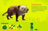 Cimolestes | Dinopedia | Fandom