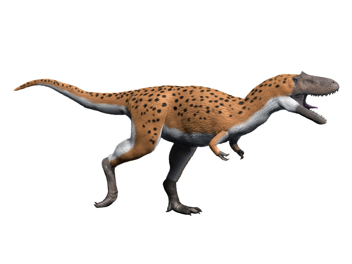 Gualicho | Dinopedia | Fandom