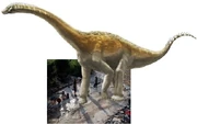 Sauropodomorpha | Dinopedia | Fandom