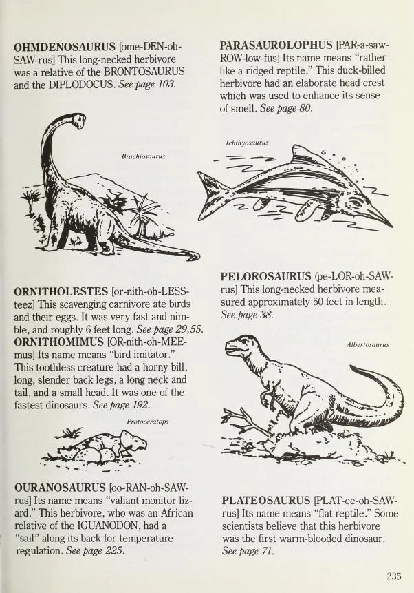 Ohmdenosaurus | Dinopedia | Fandom