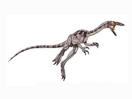 Saltopus | Dinopedia | Fandom