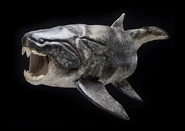 Dunkleosteus | Dinopedia | Fandom