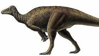 Discuss Everything About Dinopedia | Fandom