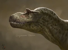 Gorgosaurus | Dinopedia | Fandom