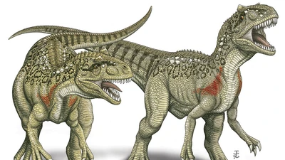 Discuss Everything About Dinopedia | Fandom